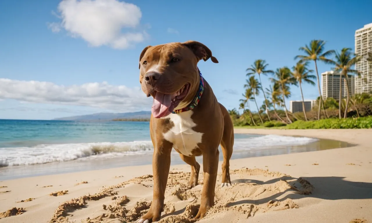 Are Pit Bulls Allowed In Hawaii? A Detailed Look At The Laws - Berry ...